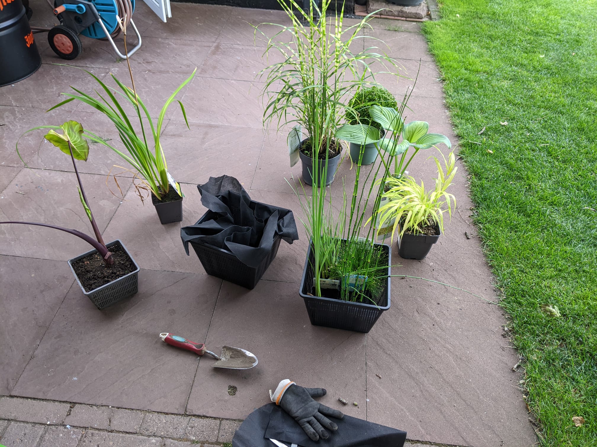 Einen kleinen Teich als Biotop selber bauen - Ein Biotop anlegen ...